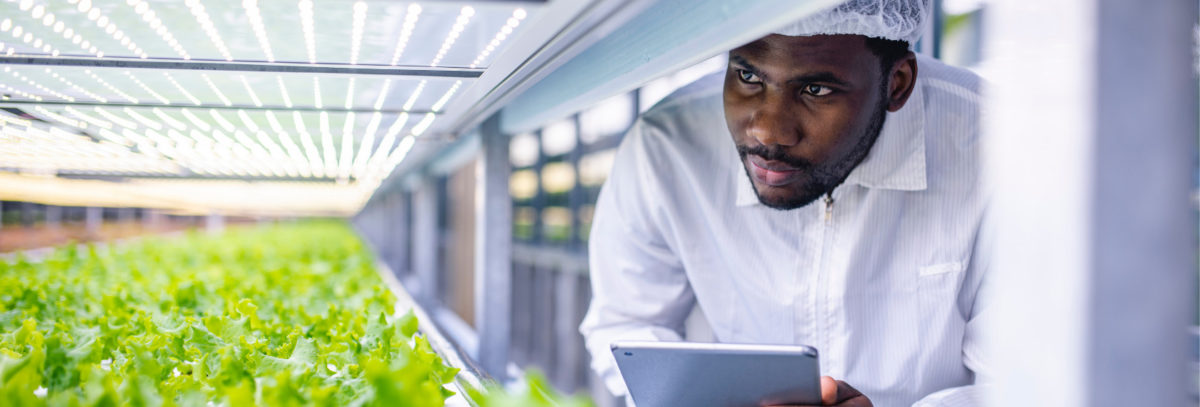 Innovations - Impact Justice